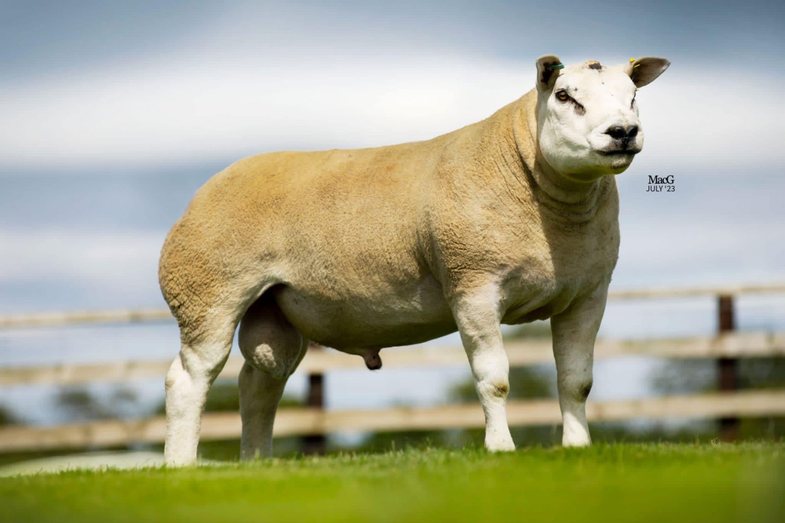 Bentham Rampage 2023 | Logie Durno Farm